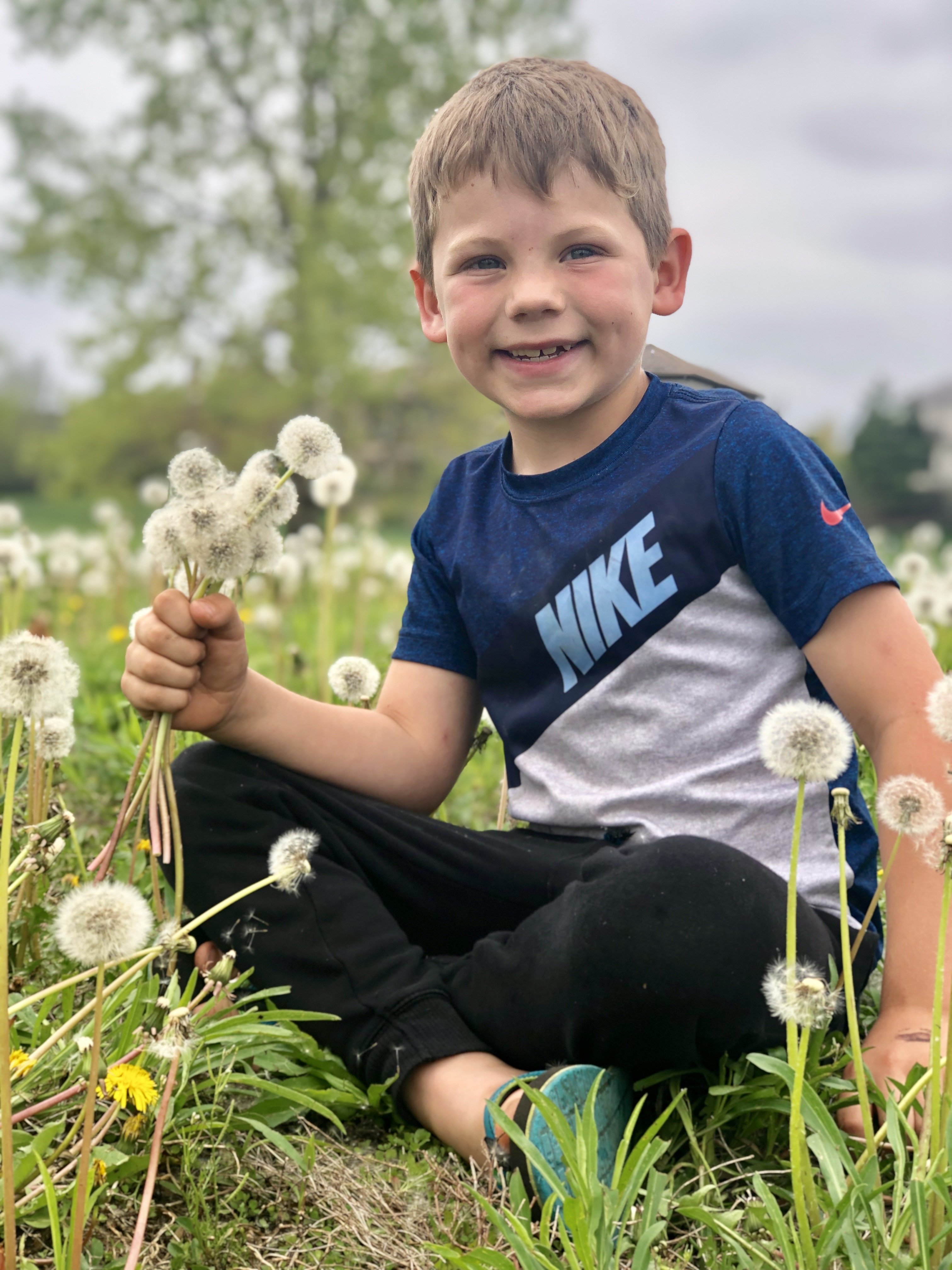 Why dandelions are the official flower of military kids