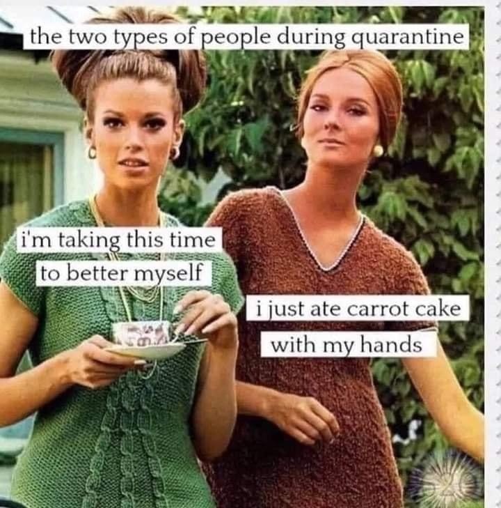 These are the 35 best COVID-19 memes for the week of May 4