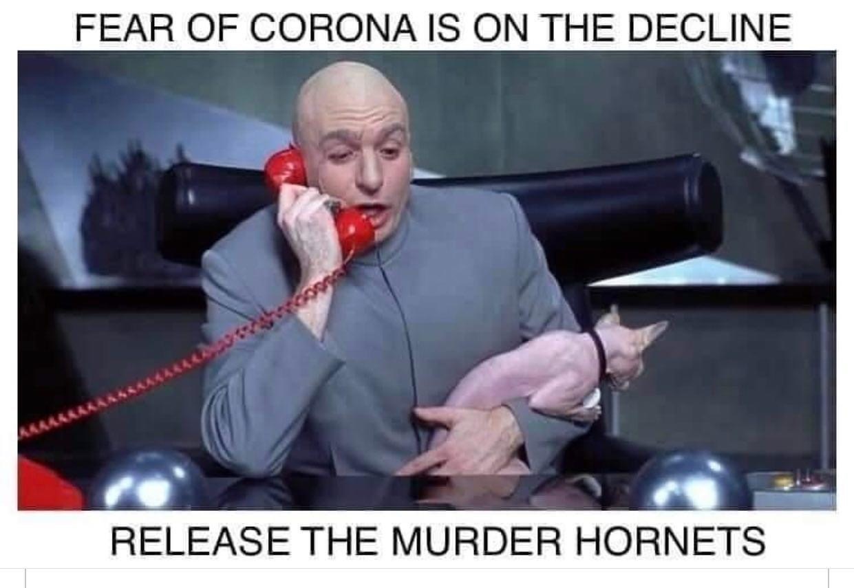 These are the 35 best COVID-19 memes for the week of May 4